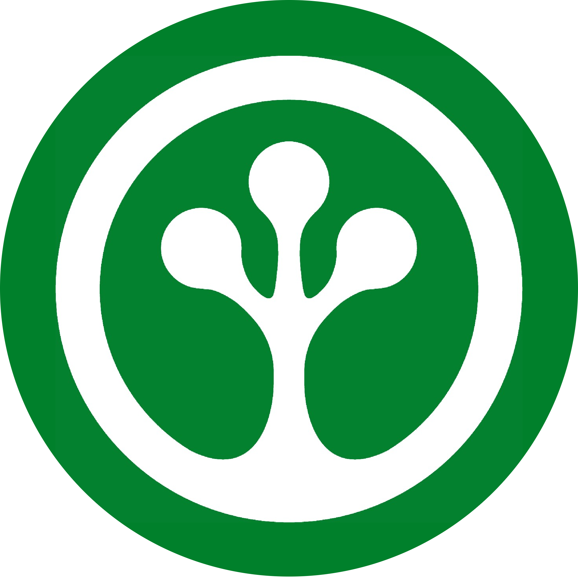 TREEO (Fairventures Digital GmbH)