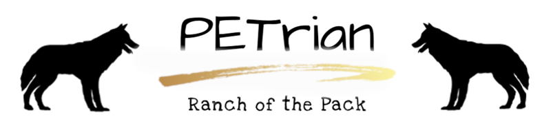 PETrian (PETrian UG)